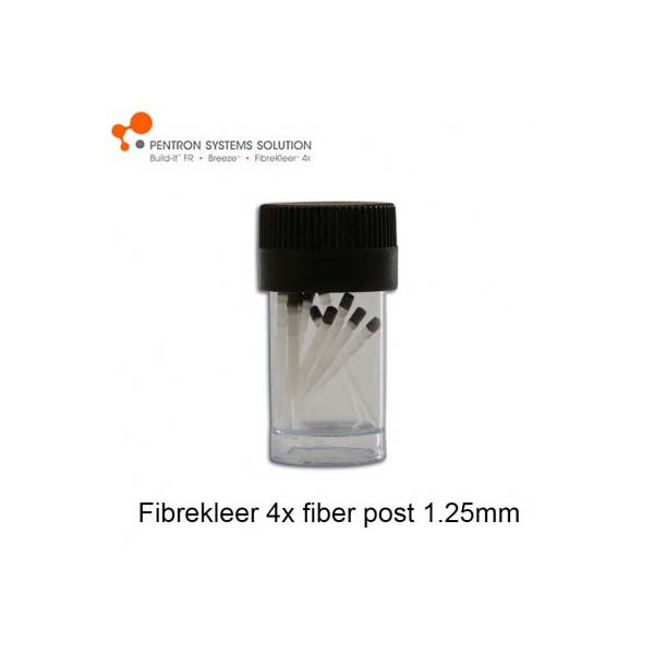 FibreKleer 4X Parallel Post 1,25mm 10 fiber post – EpsilonDental ...
